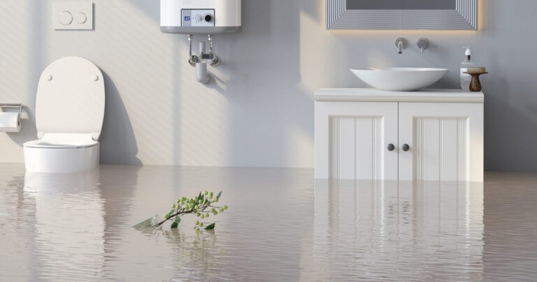 Toilet Clog Services and Inspection | Island Sewers